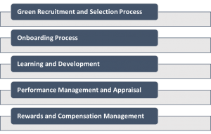 Green Human Resource Management: Advantages & Policies